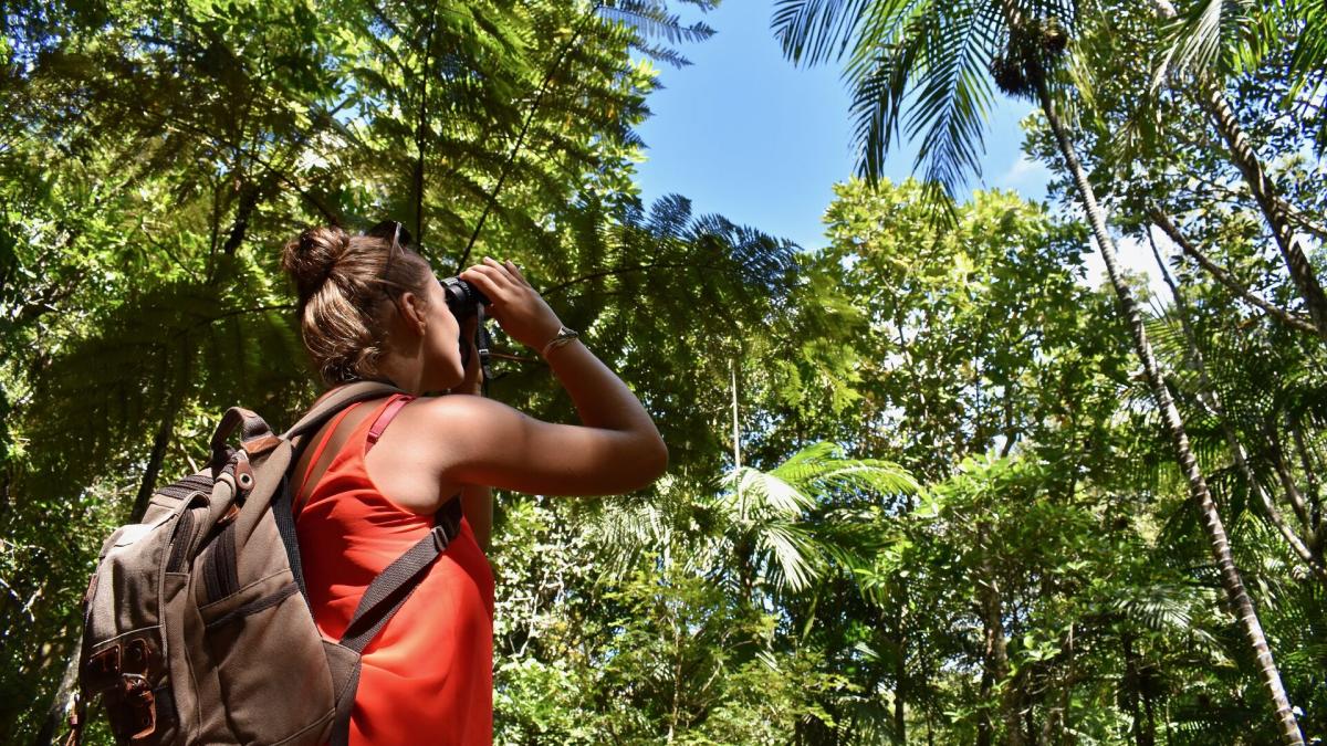 Parc Provincial de Dumbéa (Dumbéa) | Nouvelle-Calédonie Tourisme : Le ...