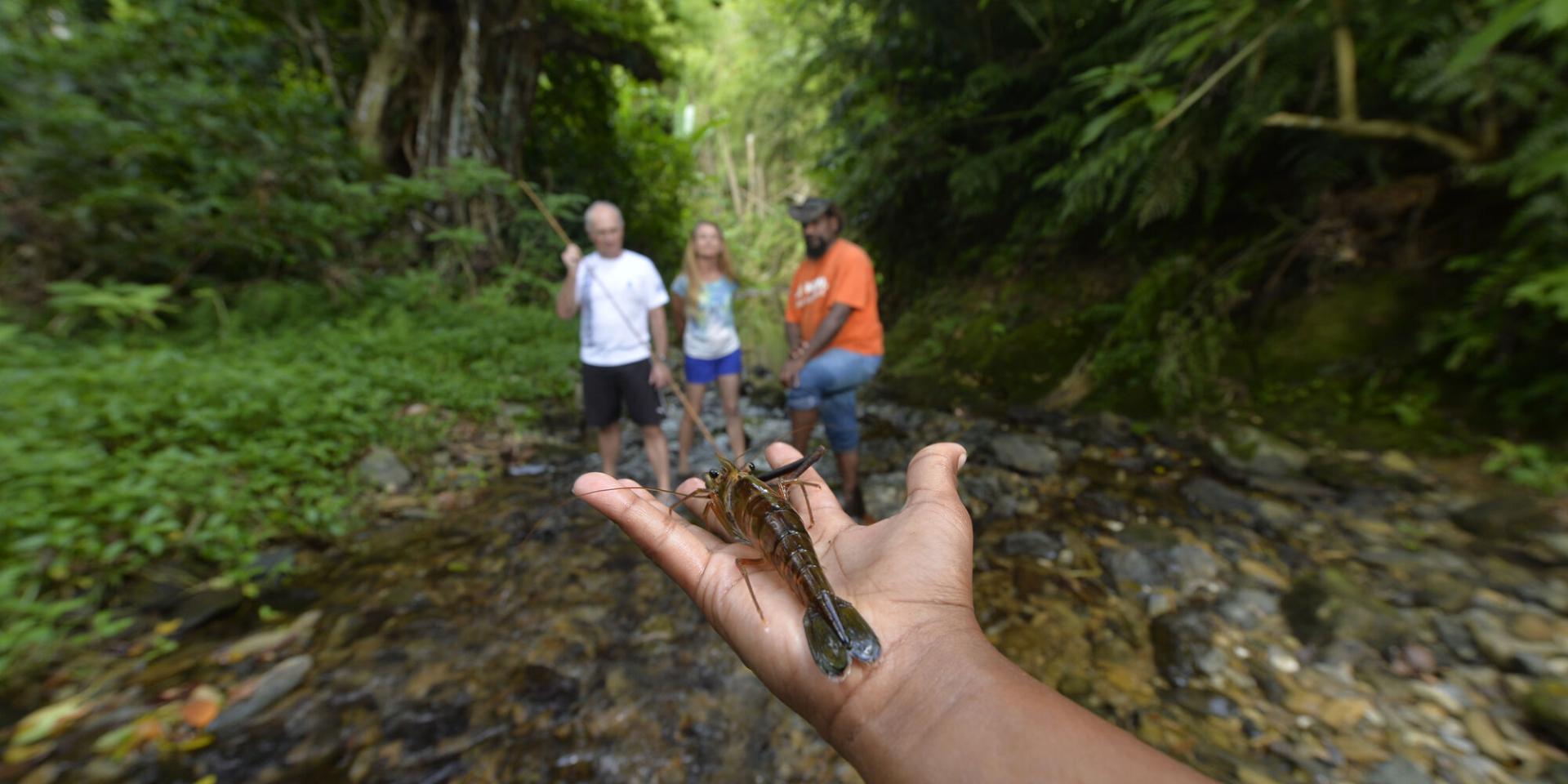 Discover the Joys of Fishing in New Caledonia | New Caledonia Tourism ...