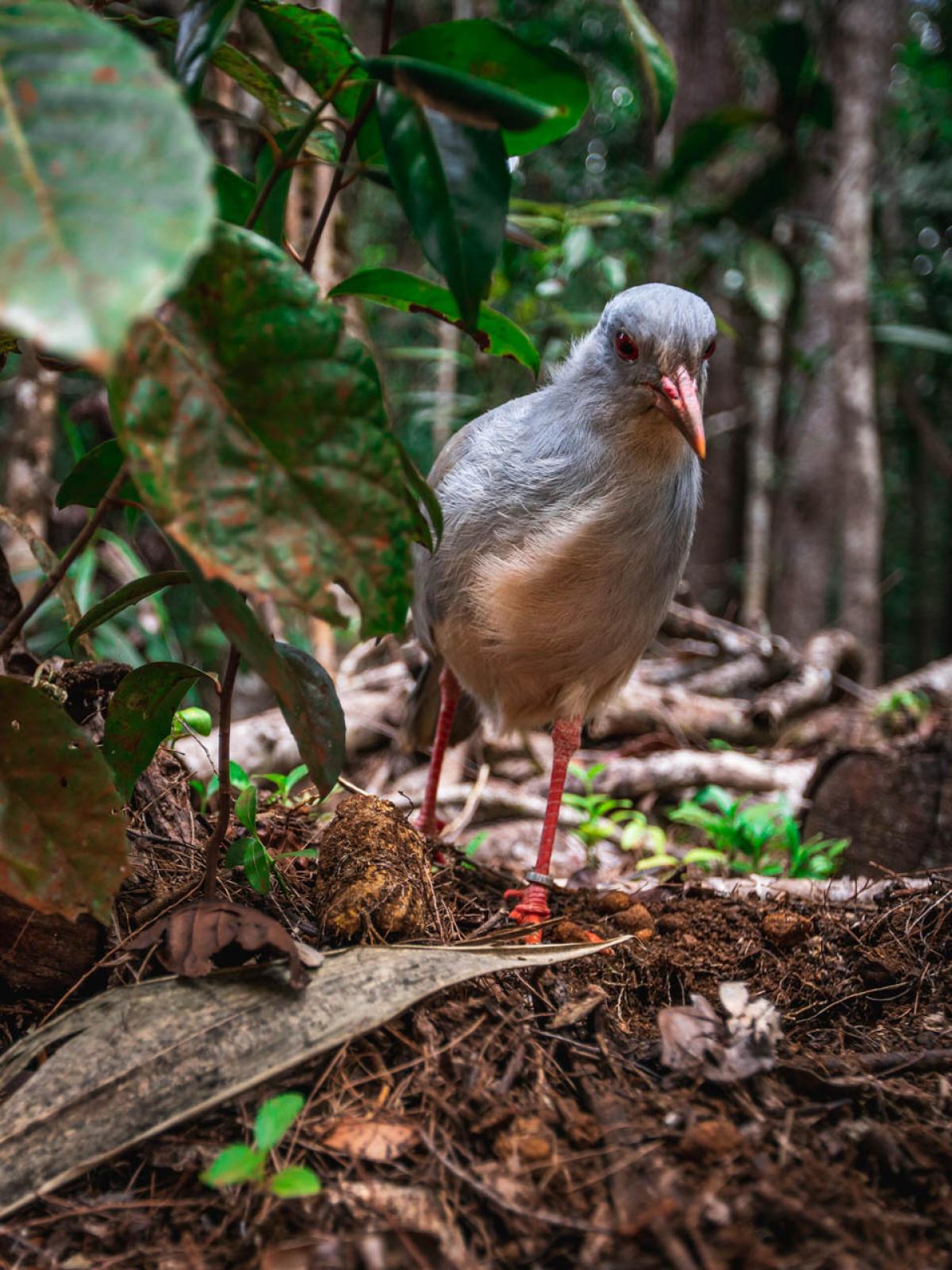 New Caledonia Tourism : The official website for tourism in New Caledonia