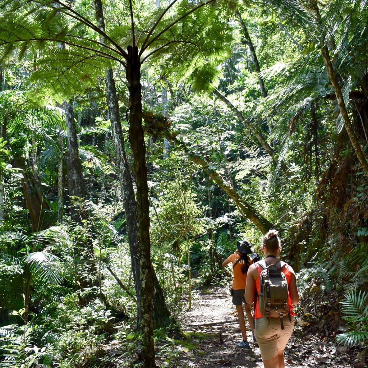 15 choses incontournables à faire à La Foa – Farino | Nouvelle ...