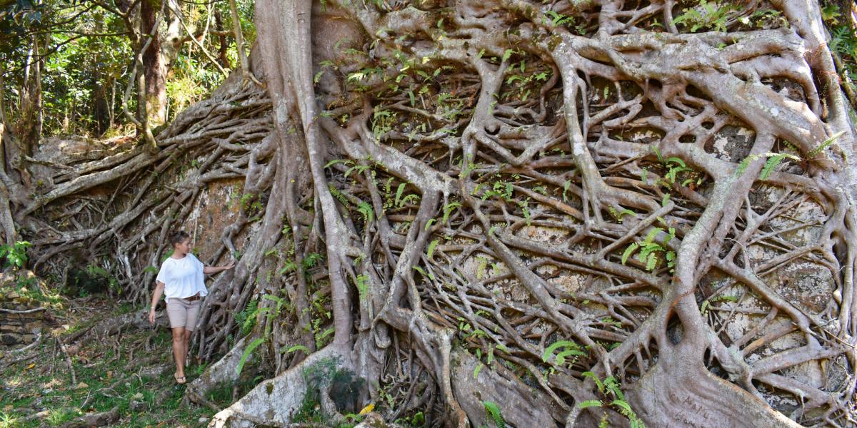 Explore New Caledonia’s Top Historic Sites and Monuments