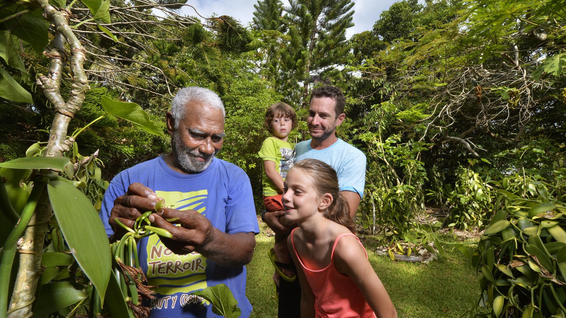 ニューカレドニアでダイビングアドベンチャー16日間