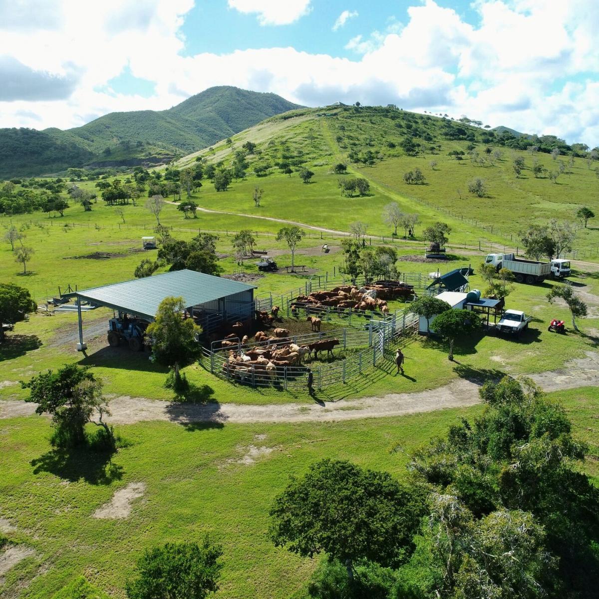 15 choses incontournables à faire à La Foa – Farino | Nouvelle ...