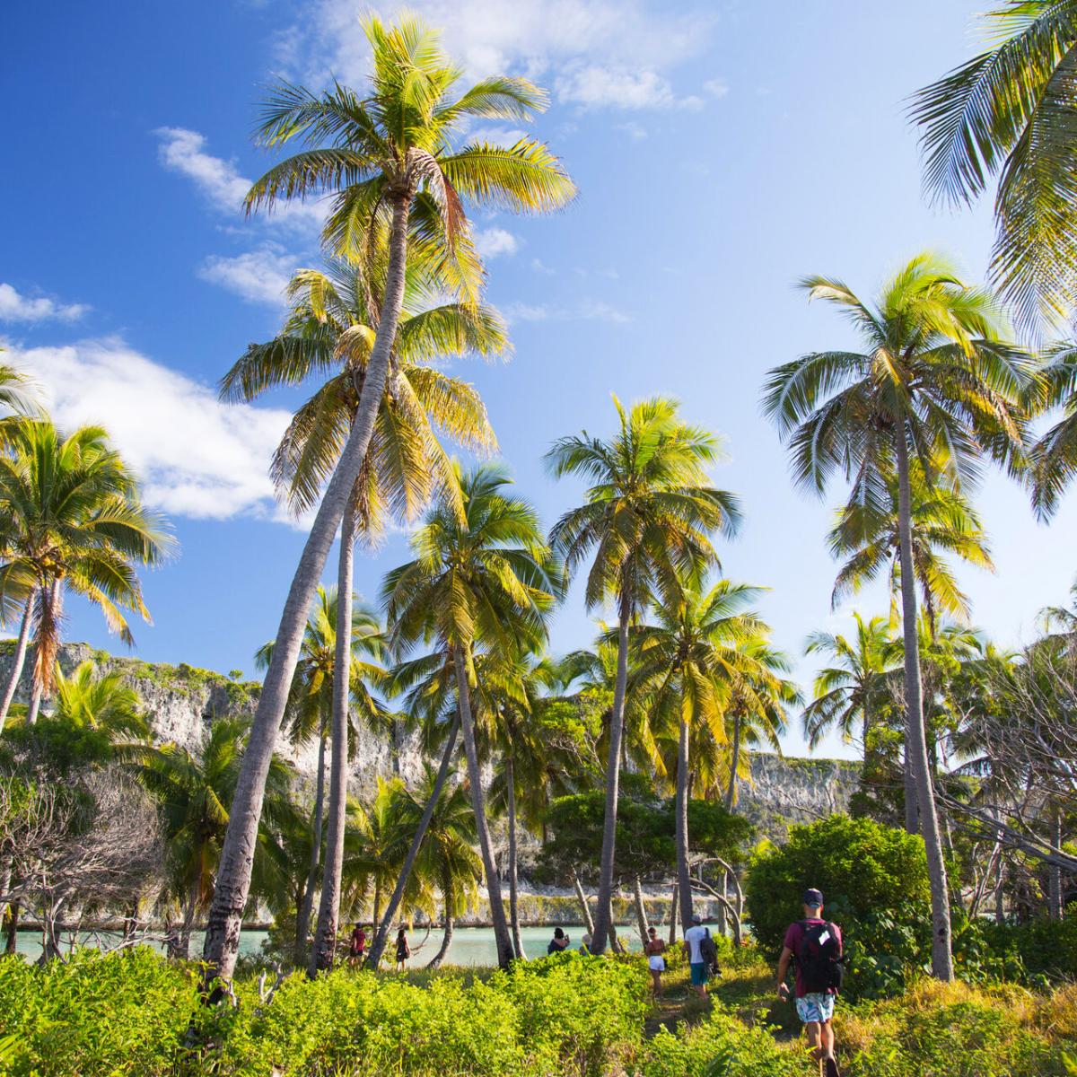 10 choses à faire à Ouvéa| Nouvelle-Calédonie Tourisme : Le site ...