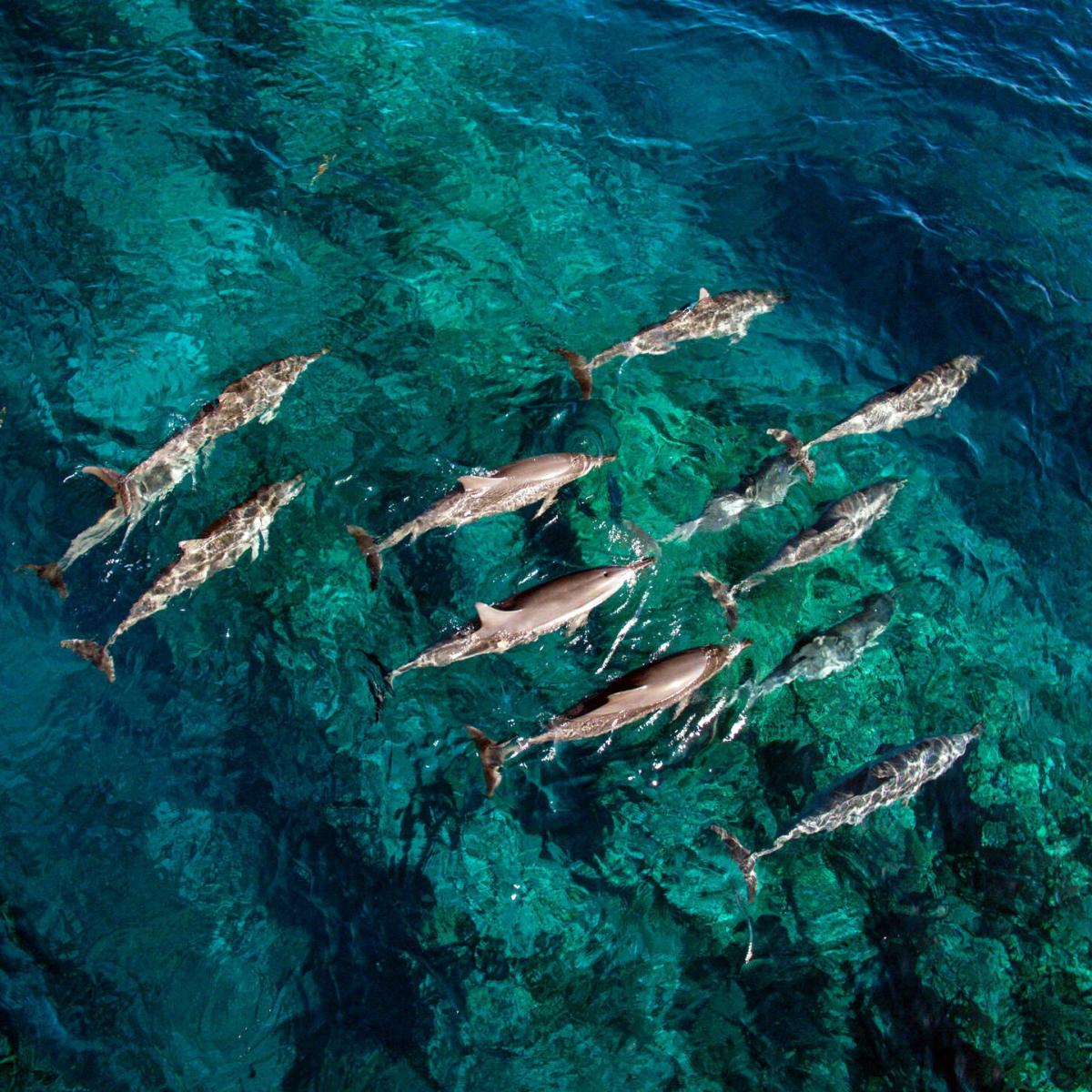 Discover Exciting Boardsports in New Caledonia | New Caledonia Tourism ...