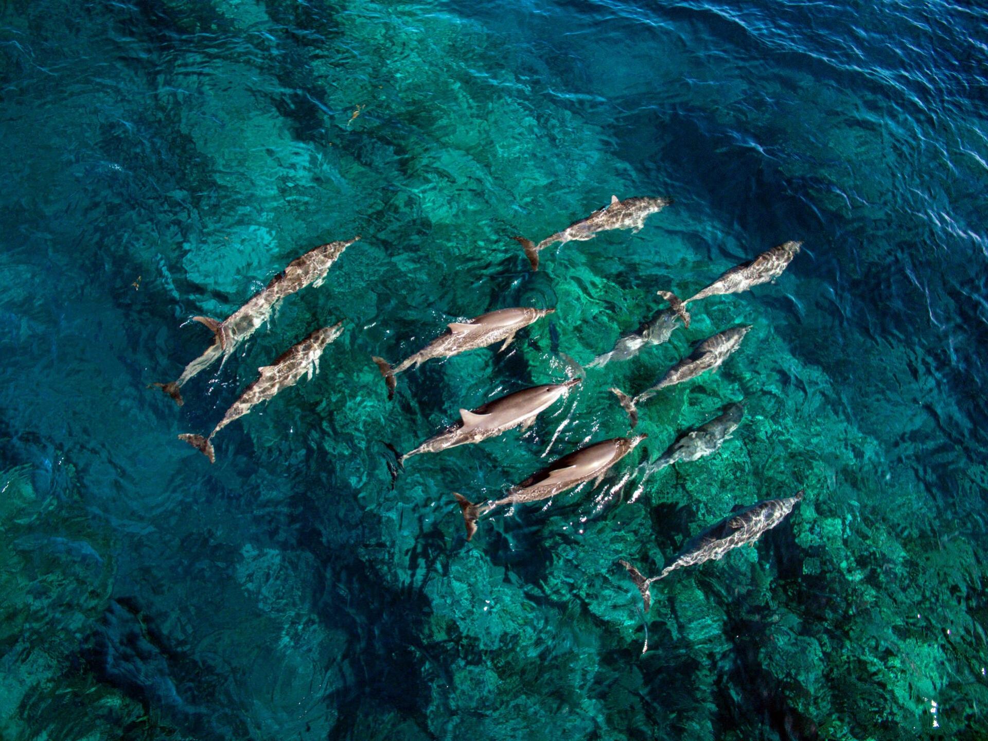 Explore the Nature of New Caledonia’s Lagoon | New Caledonia Tourism ...