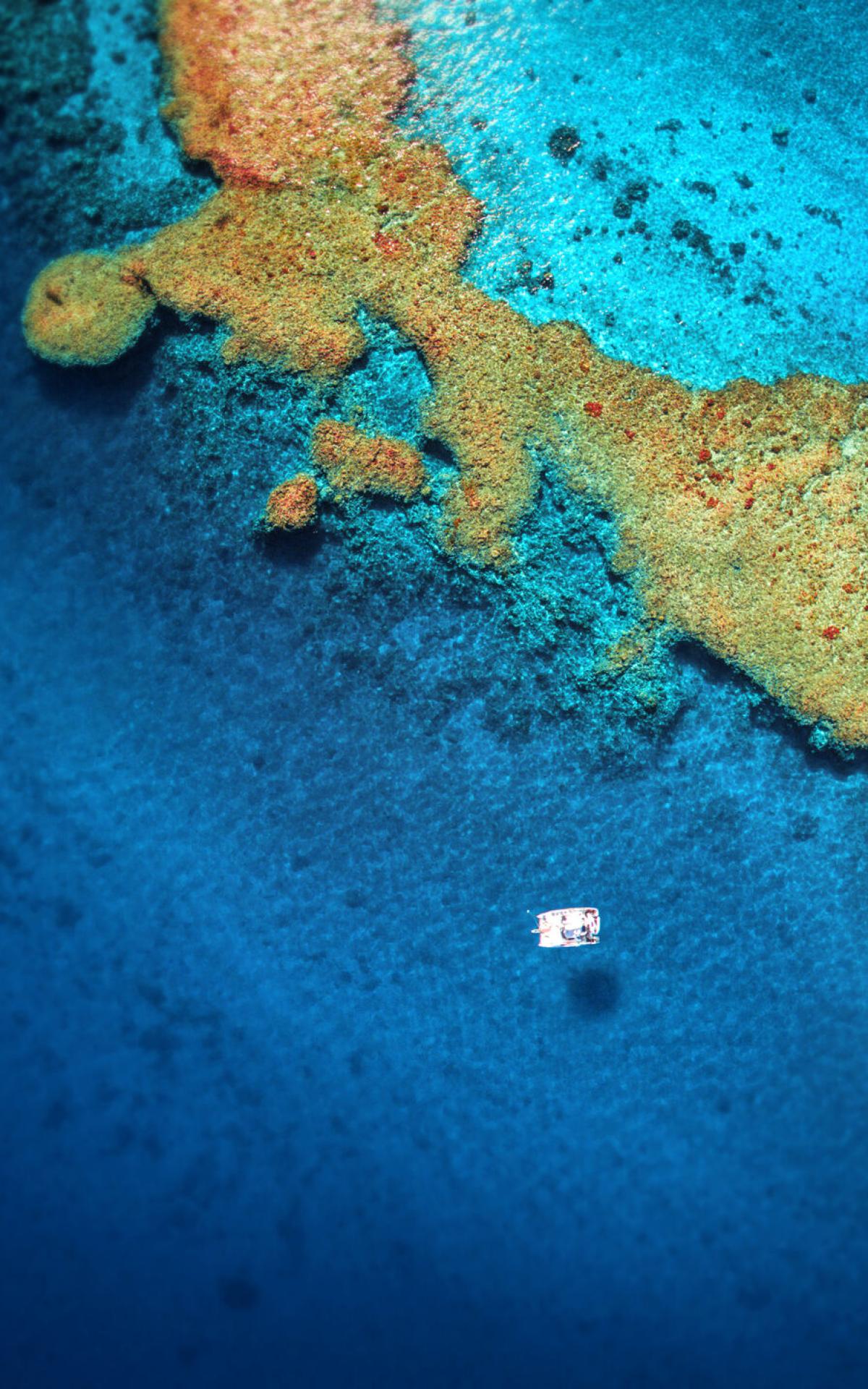 Your Comprehensive Guide to New Caledonia: Most Frequently Asked Questions!