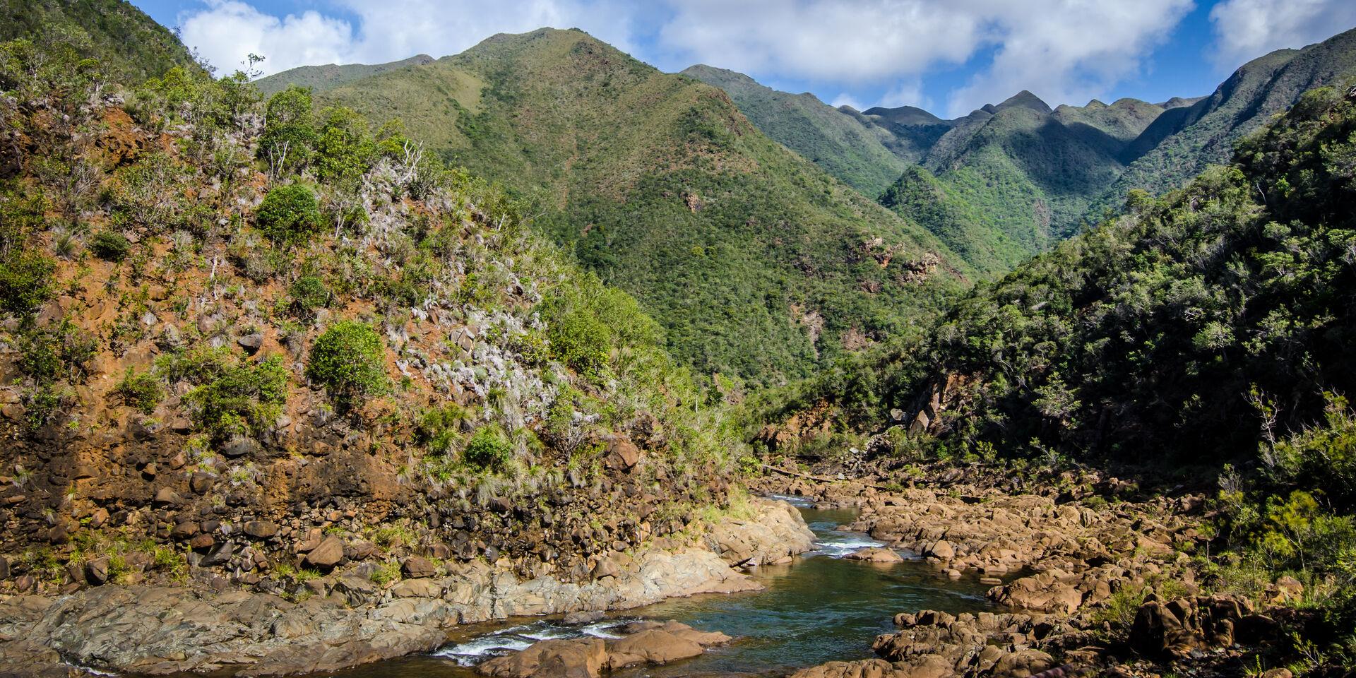 Go “Wwoofing” in New Caledonia | New Caledonia Tourism: The official ...