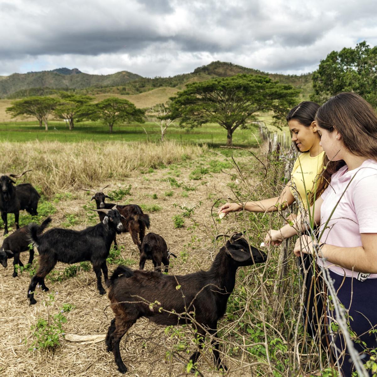 15 choses incontournables à faire à La Foa – Farino | Nouvelle ...