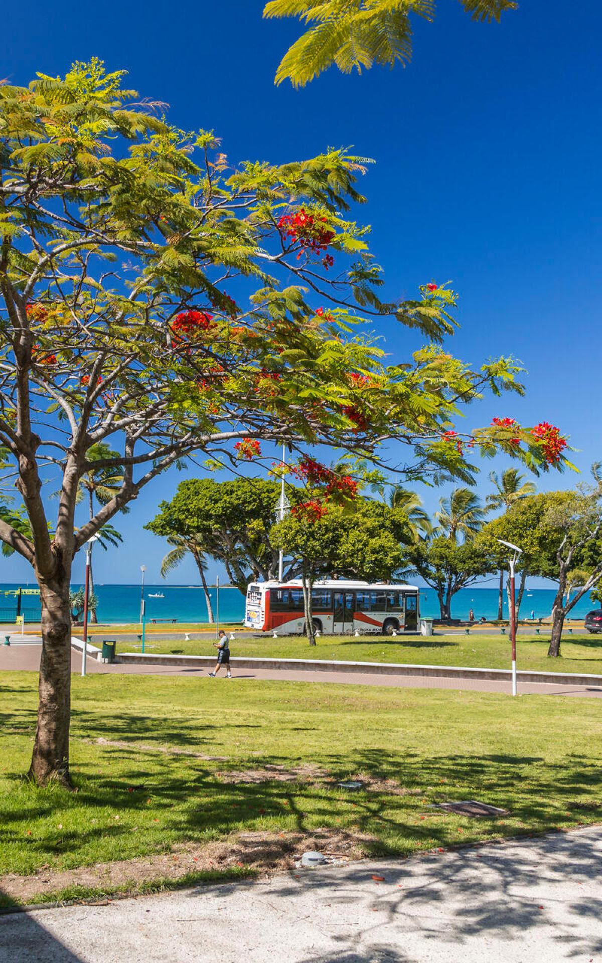 Transport in New Caledonia | New Caledonia Tourism: The official ...