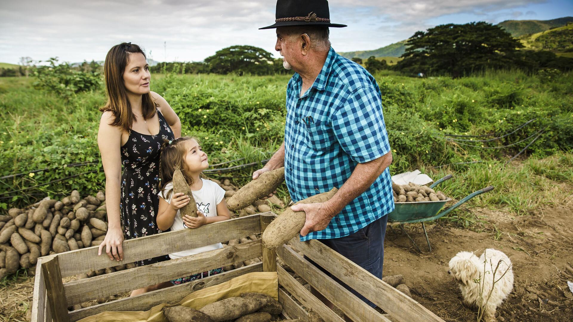 Go “Wwoofing” in New Caledonia | New Caledonia Tourism: The official website for tourism in New ...