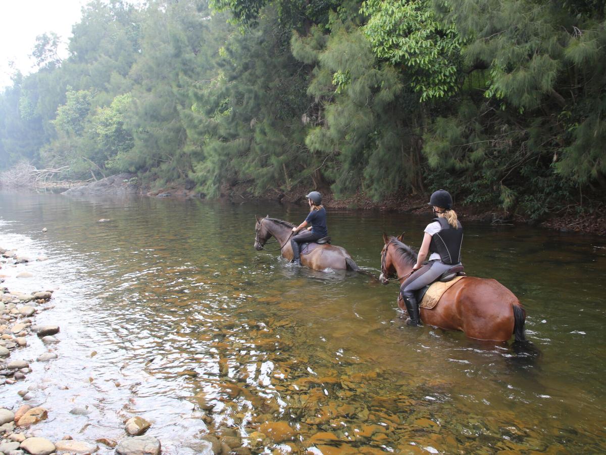 Horse Riding Adventures in New Caledonia
