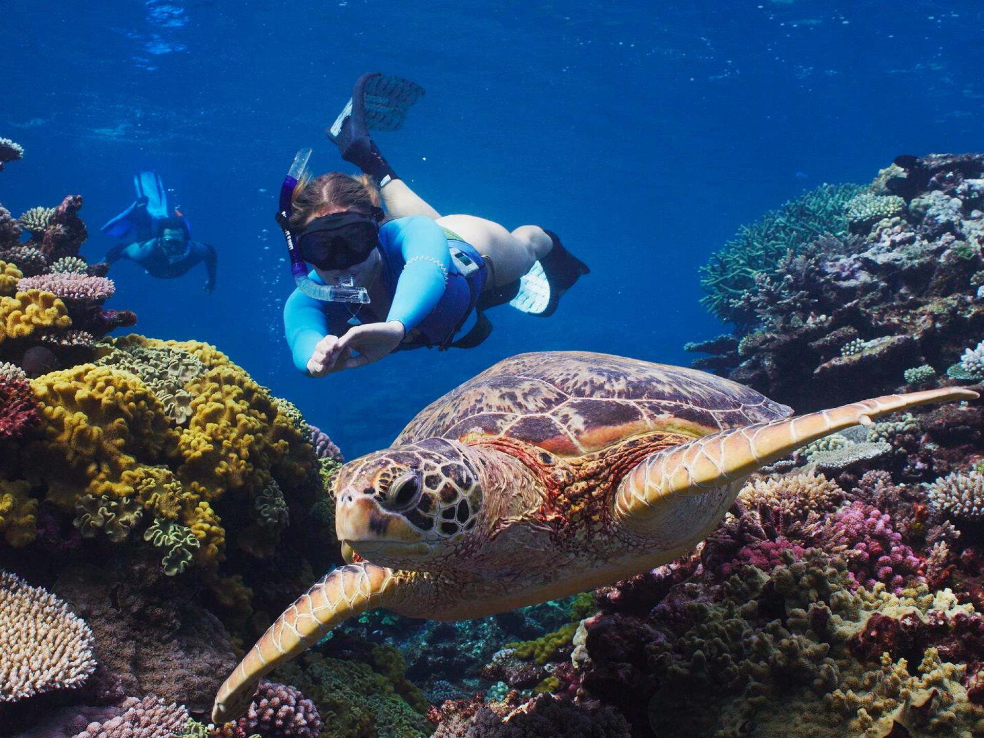 Lagon Paradisiaque de Nouvelle-Calédonie | Nouvelle-Calédonie Tourisme ...