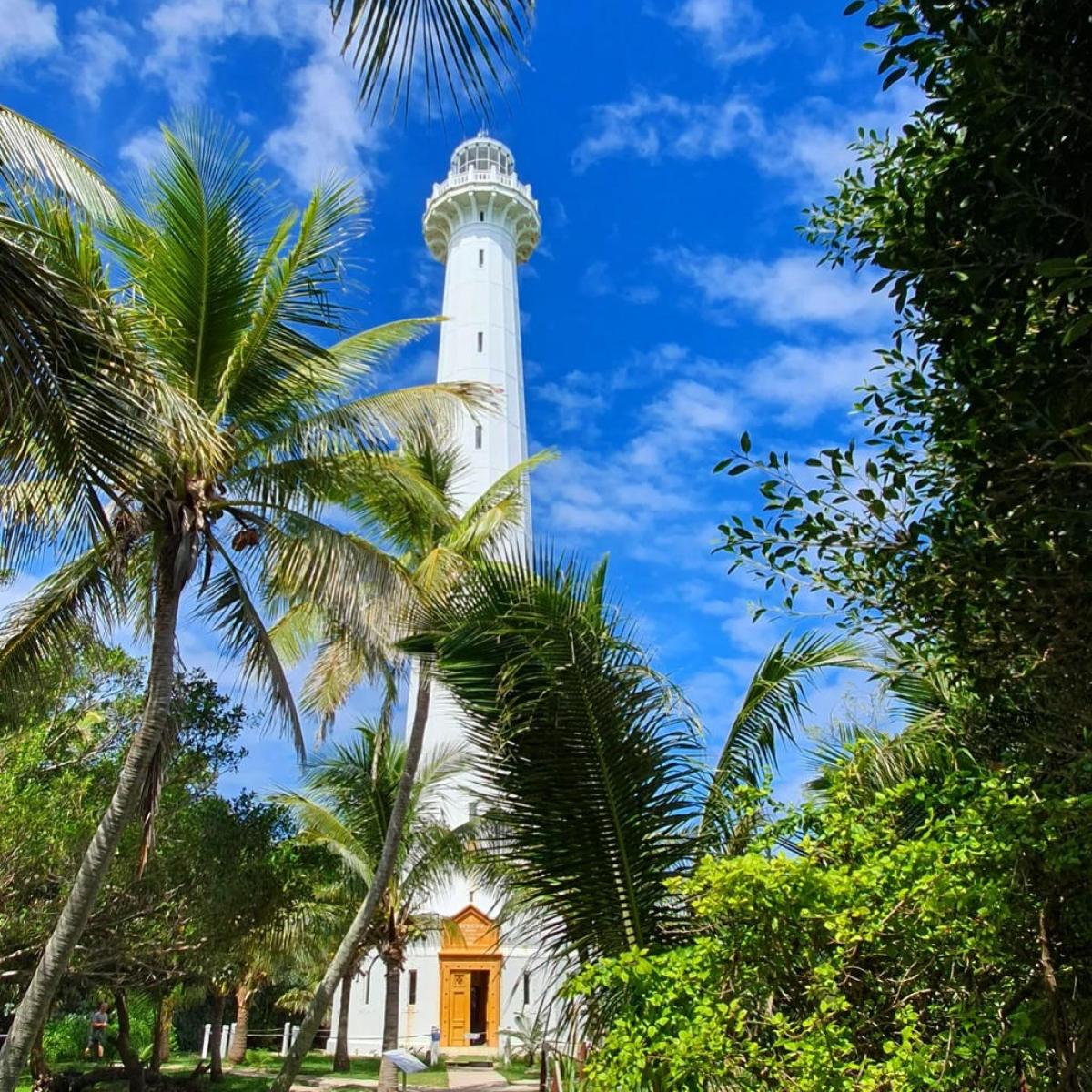 Amédée Lighthouse: A Tropical Paradise Adventure | New Caledonia ...