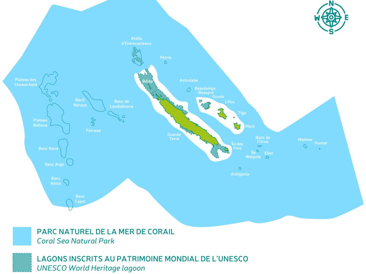 Explore the Nature of New Caledonia’s Lagoon | New Caledonia Tourism ...